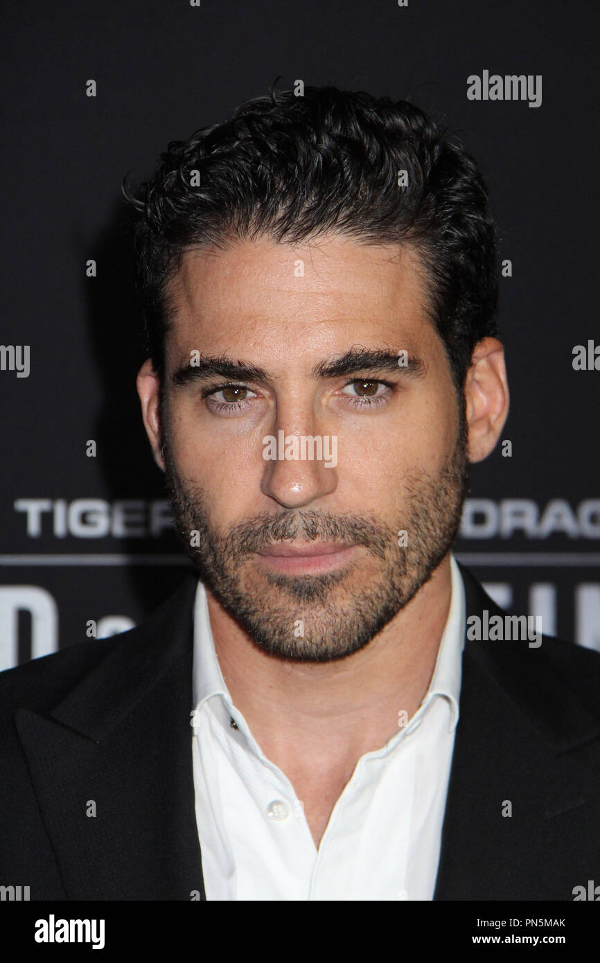 Miguel engel silvestre -Fotos und -Bildmaterial in hoher Auflösung – Alamy