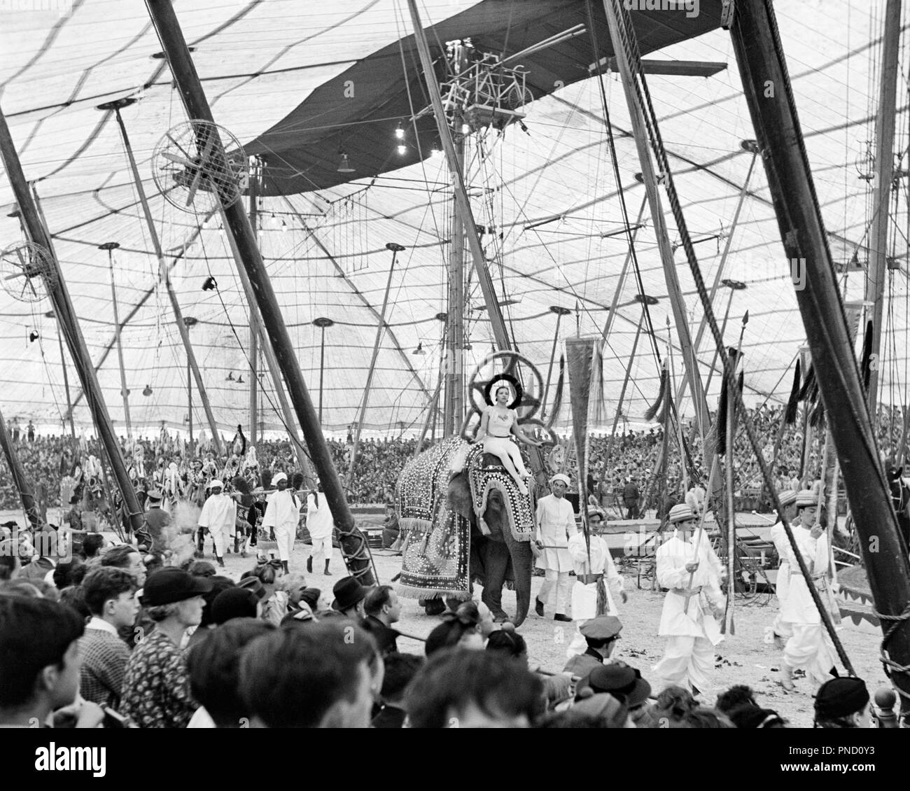 Circus Rings Stockfotos & Circus Rings Bilder - Alamy