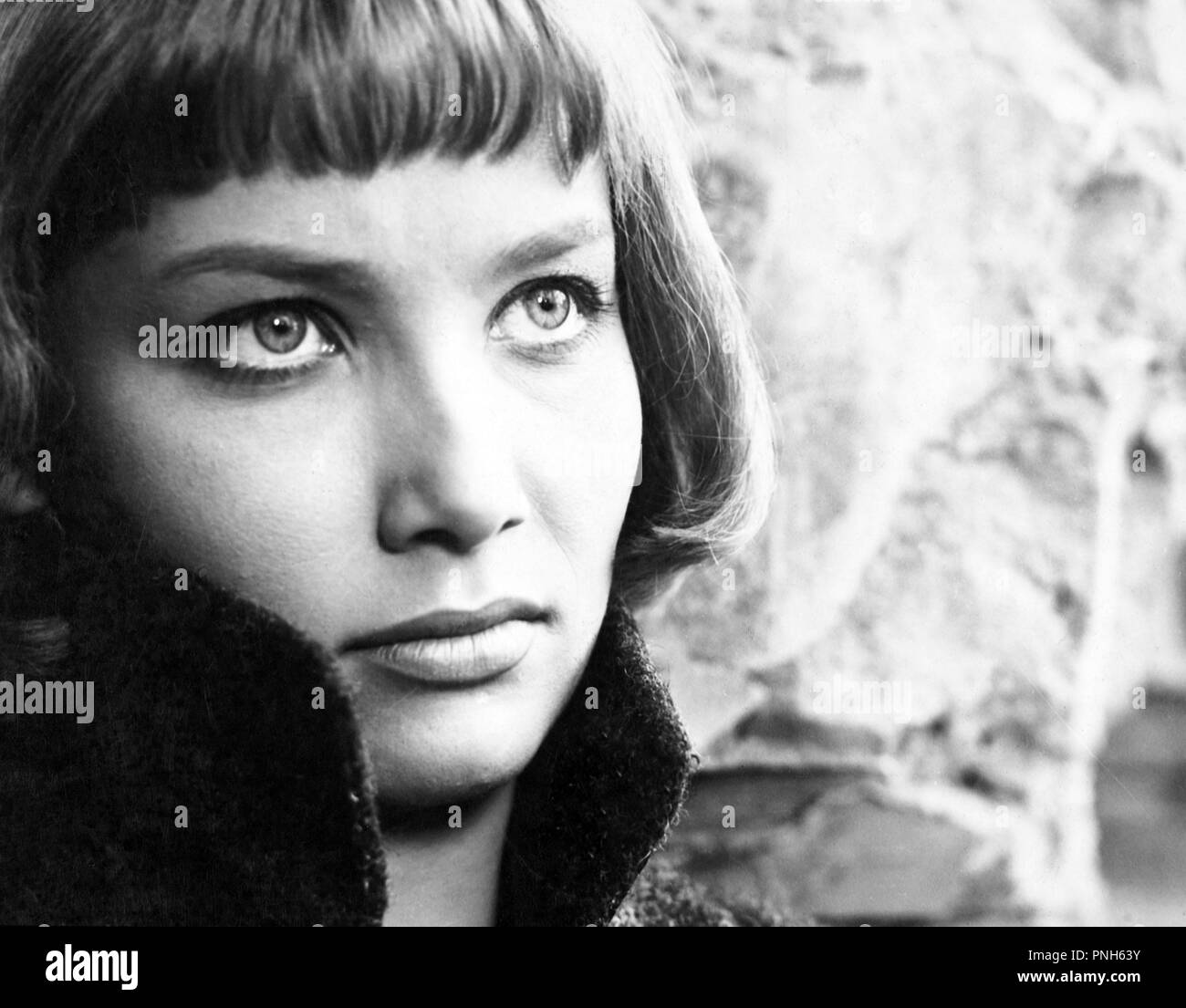 Anna sokolowska -Fotos und -Bildmaterial in hoher Auflösung – Alamy