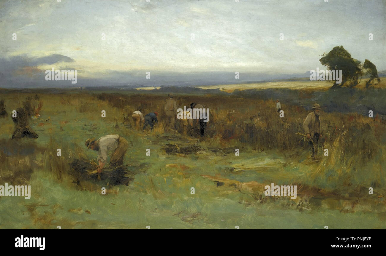 David bohne -Fotos und -Bildmaterial in hoher Auflösung – Alamy