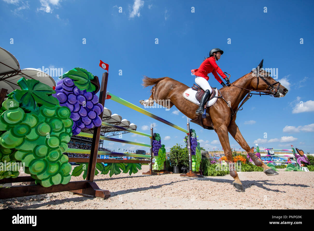 2018 dsp alice -Fotos und -Bildmaterial in hoher Auflösung – Alamy