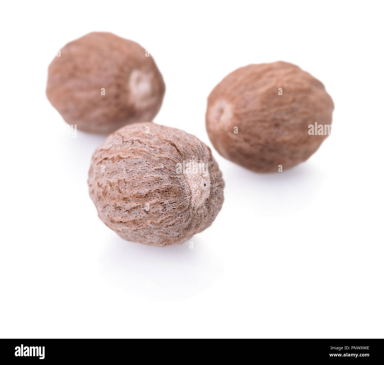 Muscat Nut Stockfotos und -bilder Kaufen - Alamy