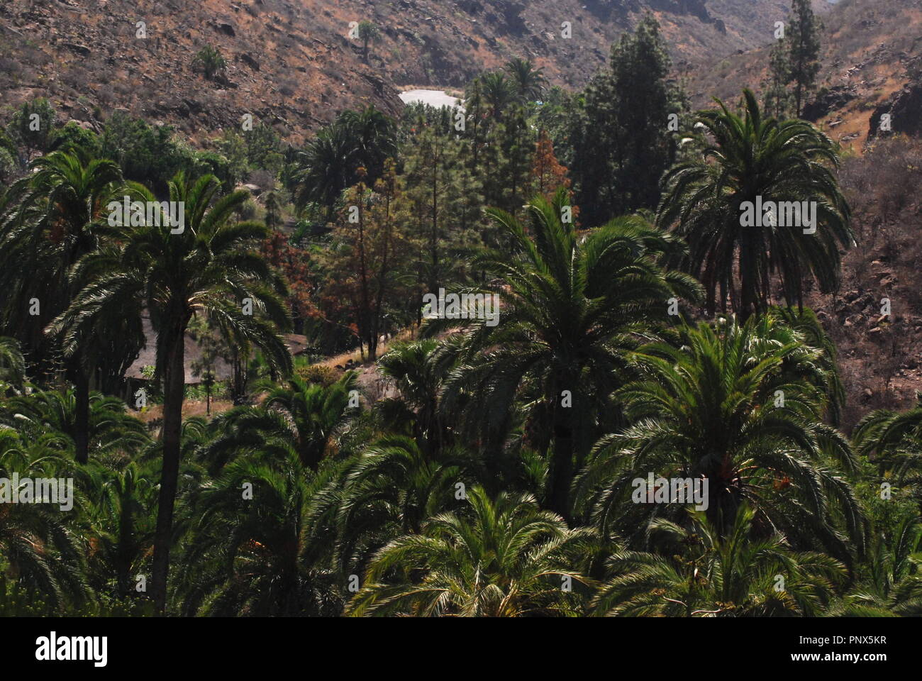 Palmitos park gran canaria -Fotos und -Bildmaterial in hoher Auflösung ...