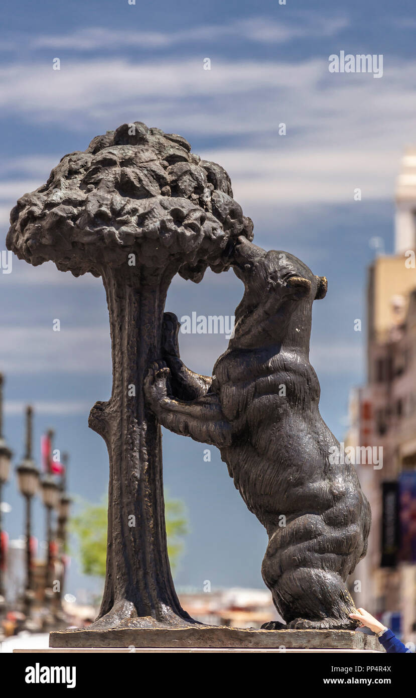 Schöne Aufnahme der Bär und der madrono aka. Der Erdbeerbaum Skulptur ...