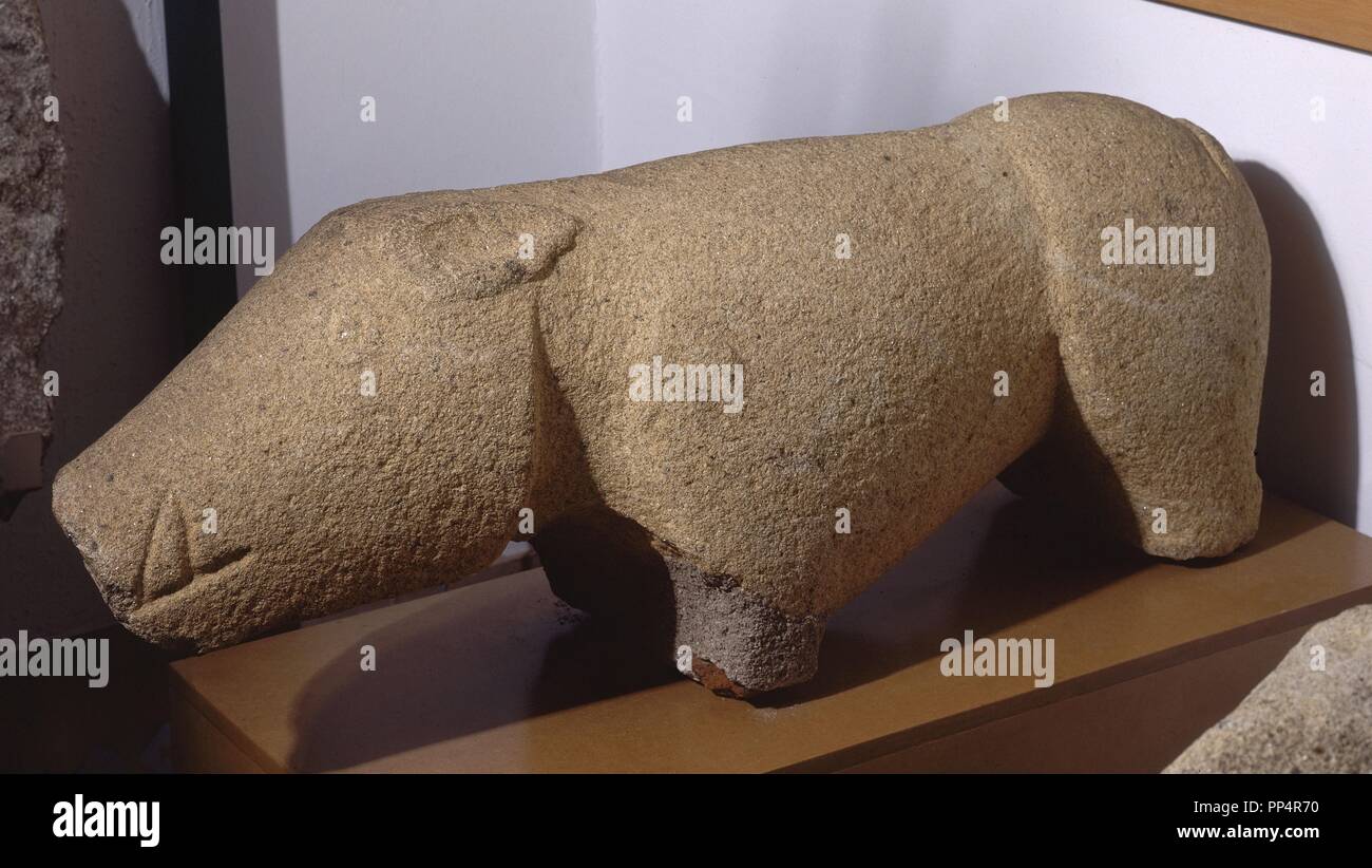 VERRACO PRERROMANO PROCEDENTE DEL YACIMIENTO DE MADRIGALEJO (CACERES ...