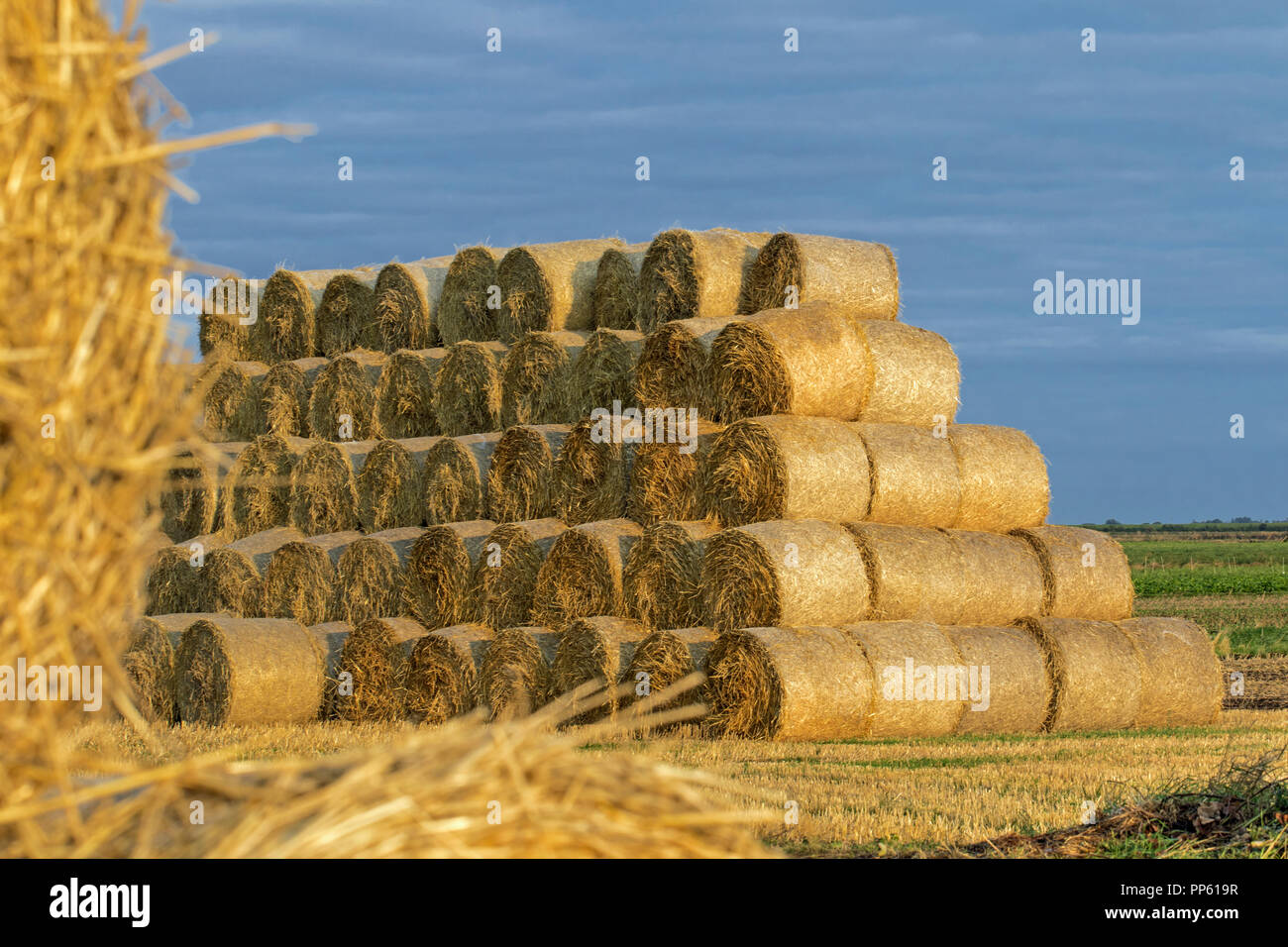 Heuballen stapeln -Fotos und -Bildmaterial in hoher Auflösung – Alamy