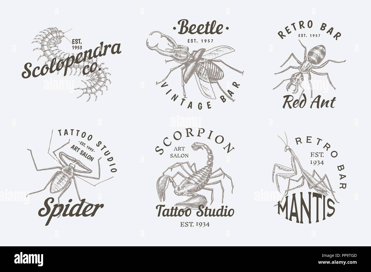 Satz von Insekten Logos. Vintage Haustiere Labels für Bar oder Tattoo ...