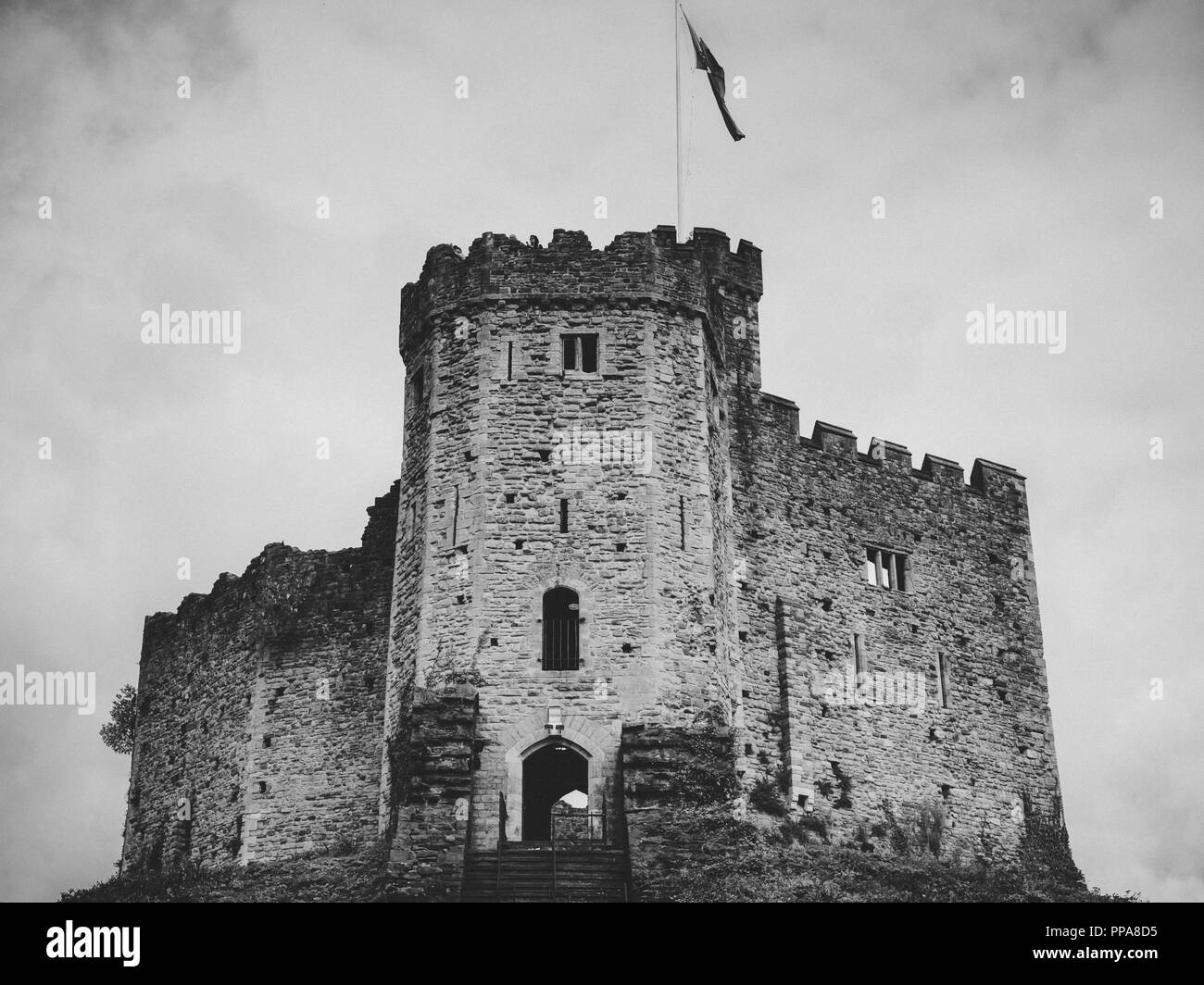 Castell caerdydd -Fotos und -Bildmaterial in hoher Auflösung – Alamy