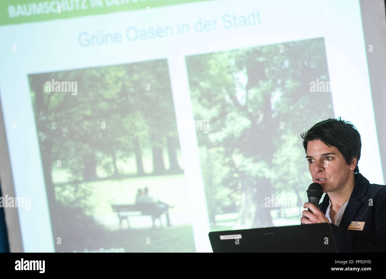 Naturschutz union der artenvielfalt -Fotos und -Bildmaterial in hoher ...