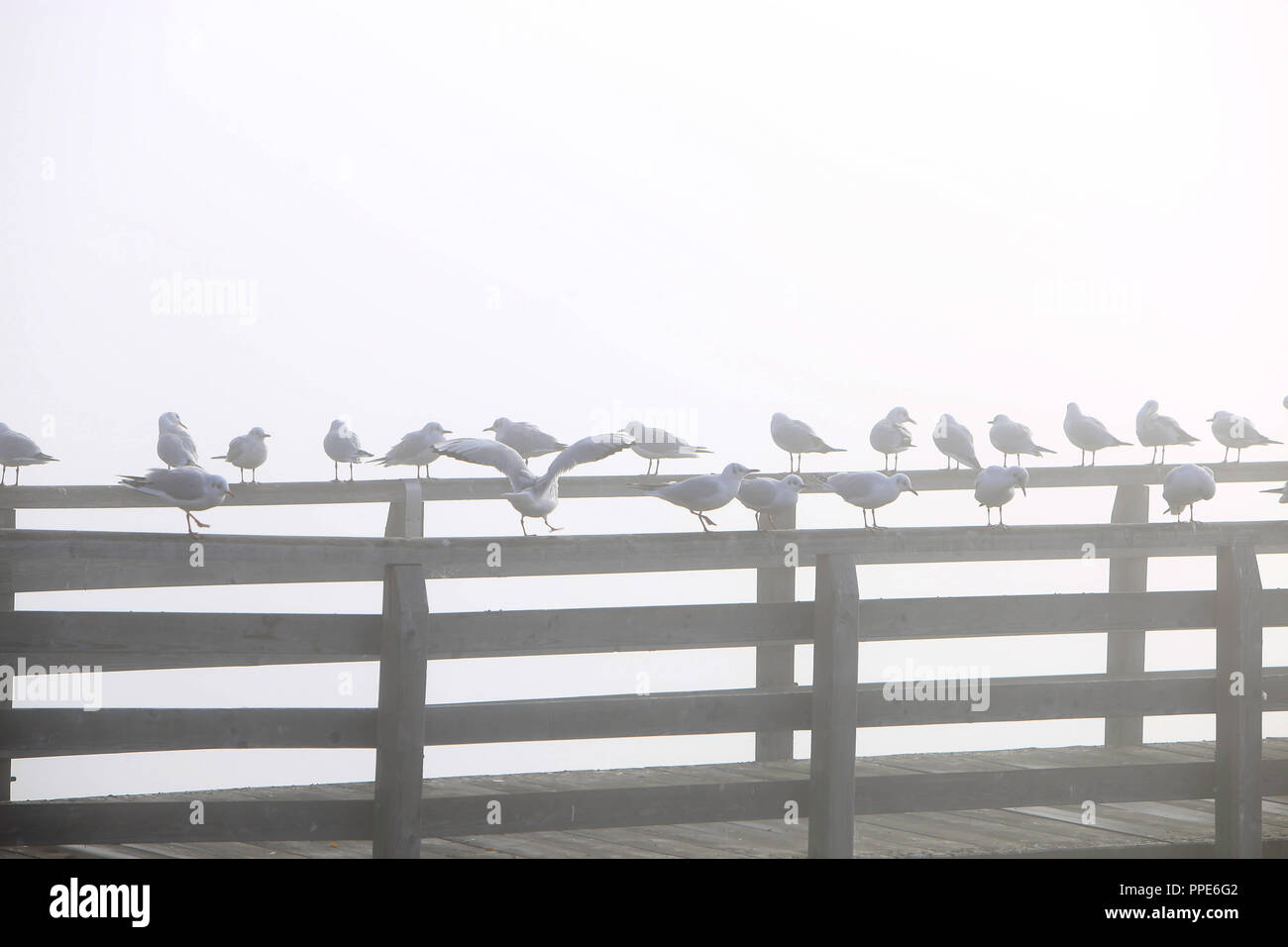 Starnberg seepromenade -Fotos und -Bildmaterial in hoher Auflösung – Alamy