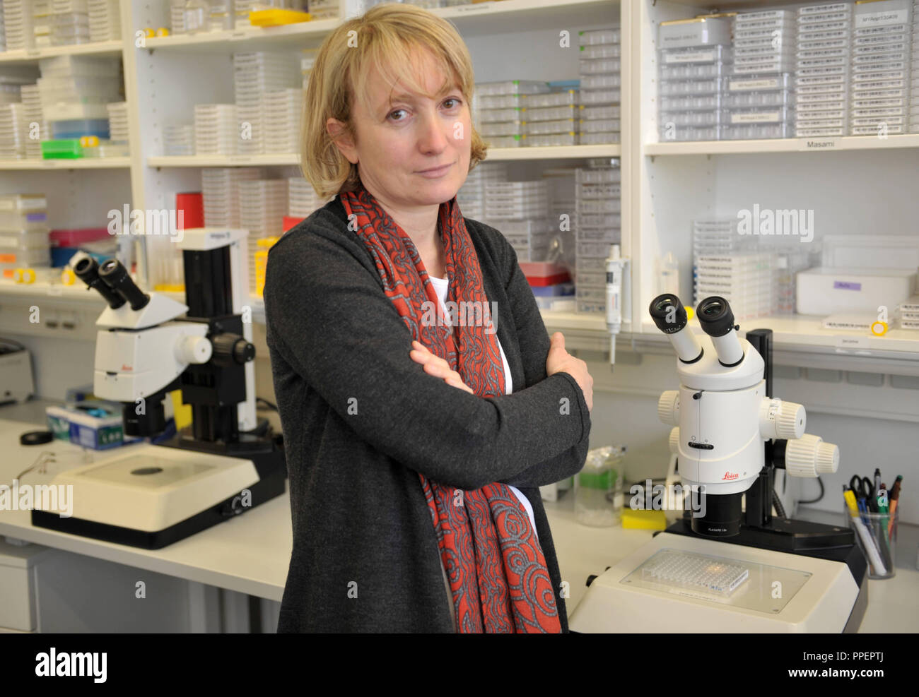 Elena conti -Fotos und -Bildmaterial in hoher Auflösung – Alamy