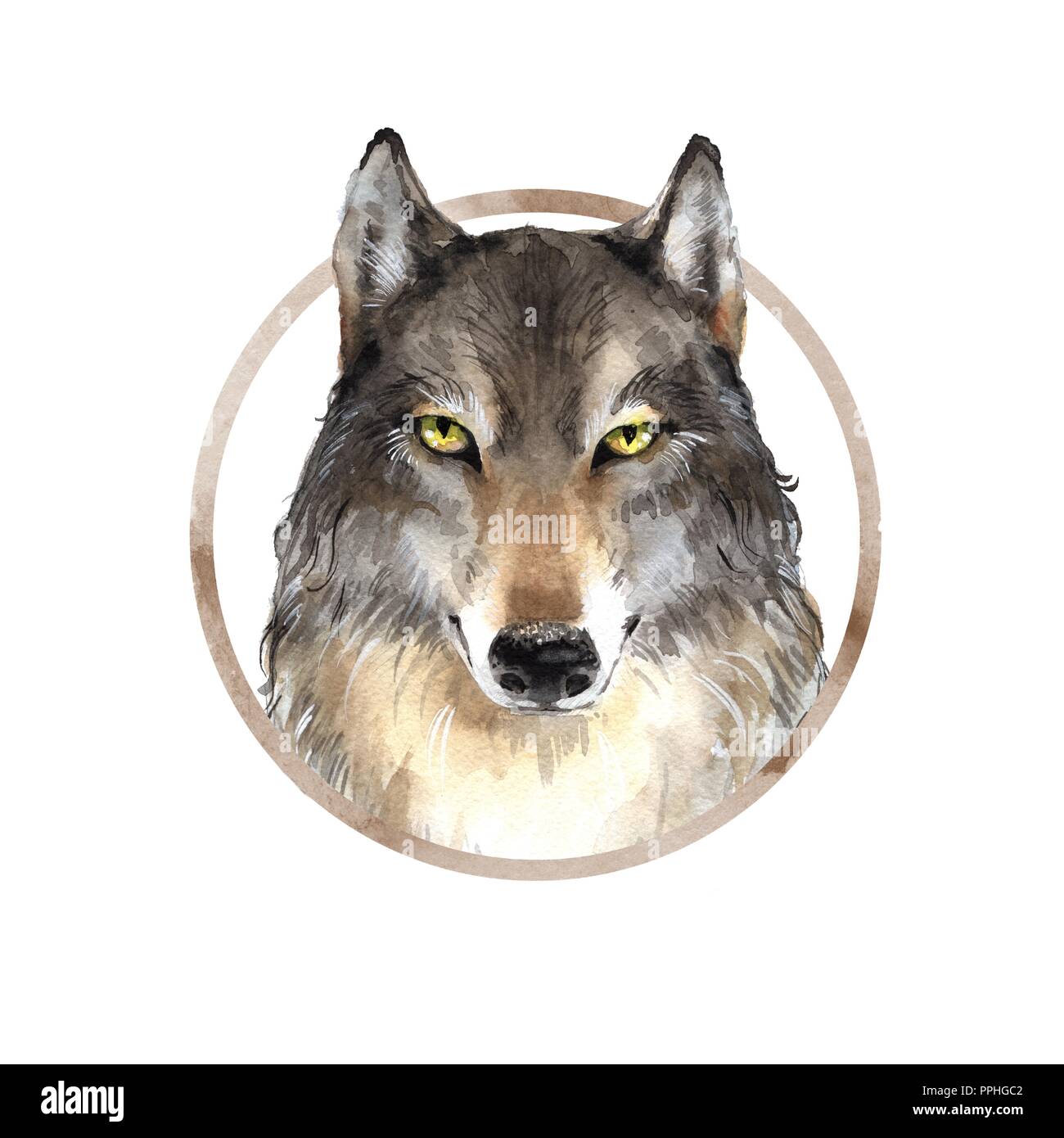 Aquarell wolf -Fotos und -Bildmaterial in hoher Auflösung – Alamy