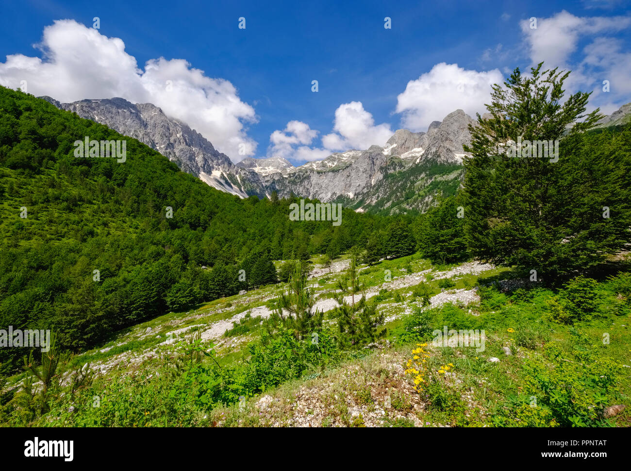 Maja E Jezerces Stockfotos und -bilder Kaufen - Alamy