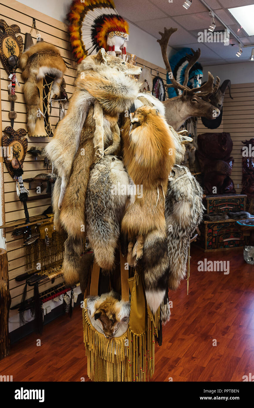 Alaska pelze -Fotos und -Bildmaterial in hoher Auflösung – Alamy