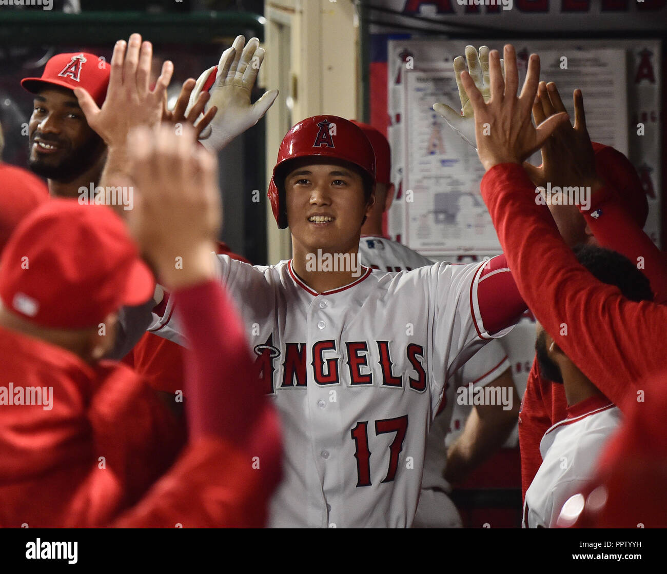 Los Angeles Engel Designated Hitter Shohei Ohtani feiert mit ...