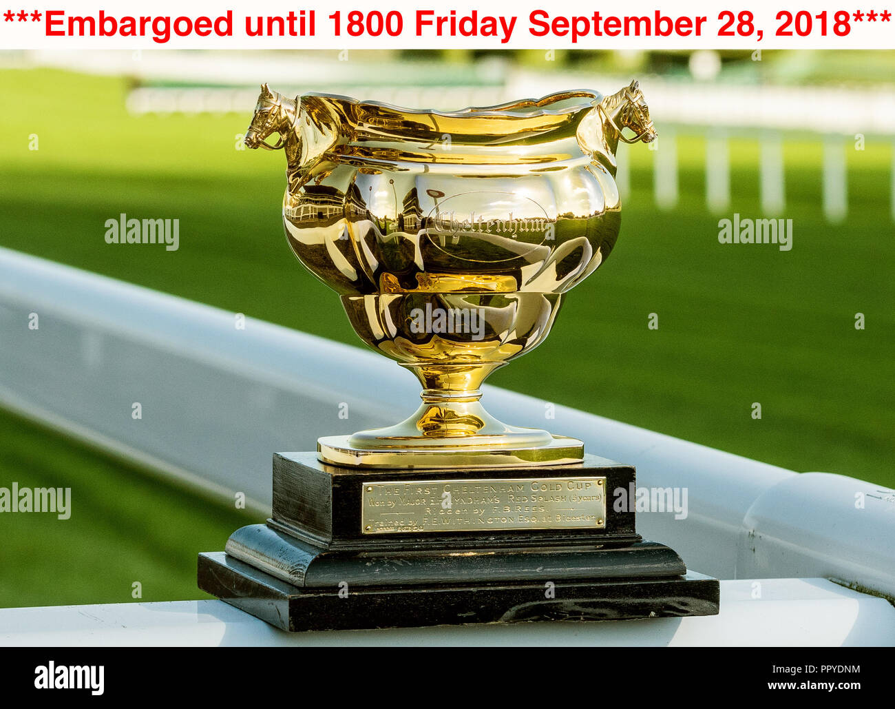 Der original cheltenham gold cup -Fotos und -Bildmaterial in hoher ...