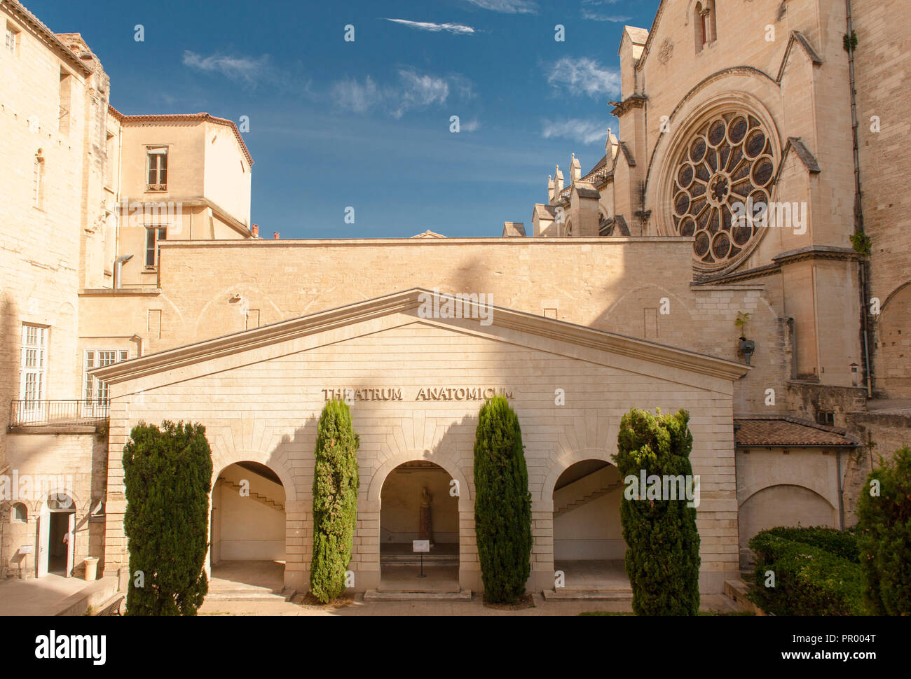 Cathedral saint pierre montpellier -Fotos und -Bildmaterial in hoher ...