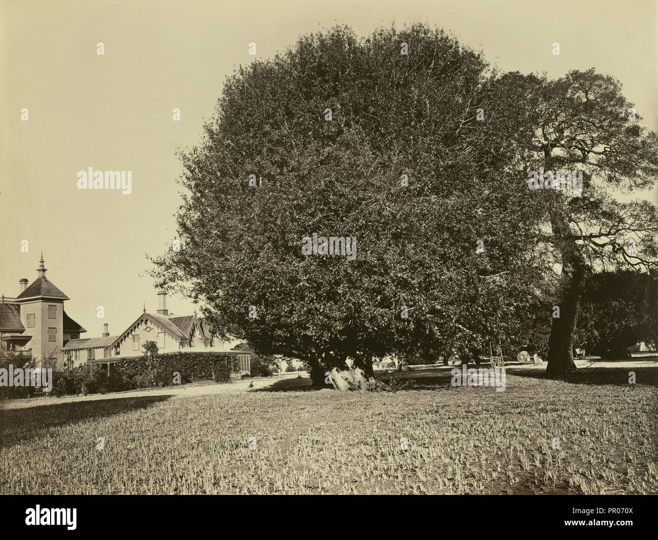 Howard watkins -Fotos und -Bildmaterial in hoher Auflösung – Alamy