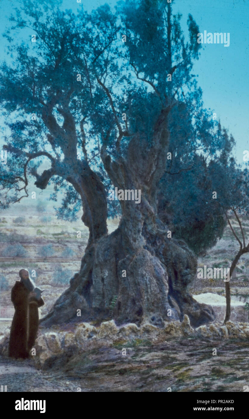 Die qual bei gethsemane -Fotos und -Bildmaterial in hoher Auflösung – Alamy