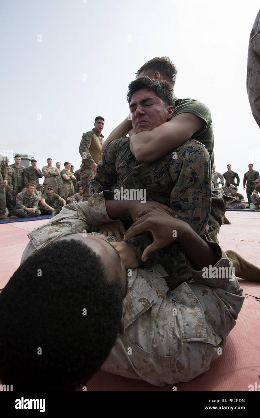 Golf von Aden (28. Juli 2017) US Marine Corps Lance Cpl. Michael Liptak ...