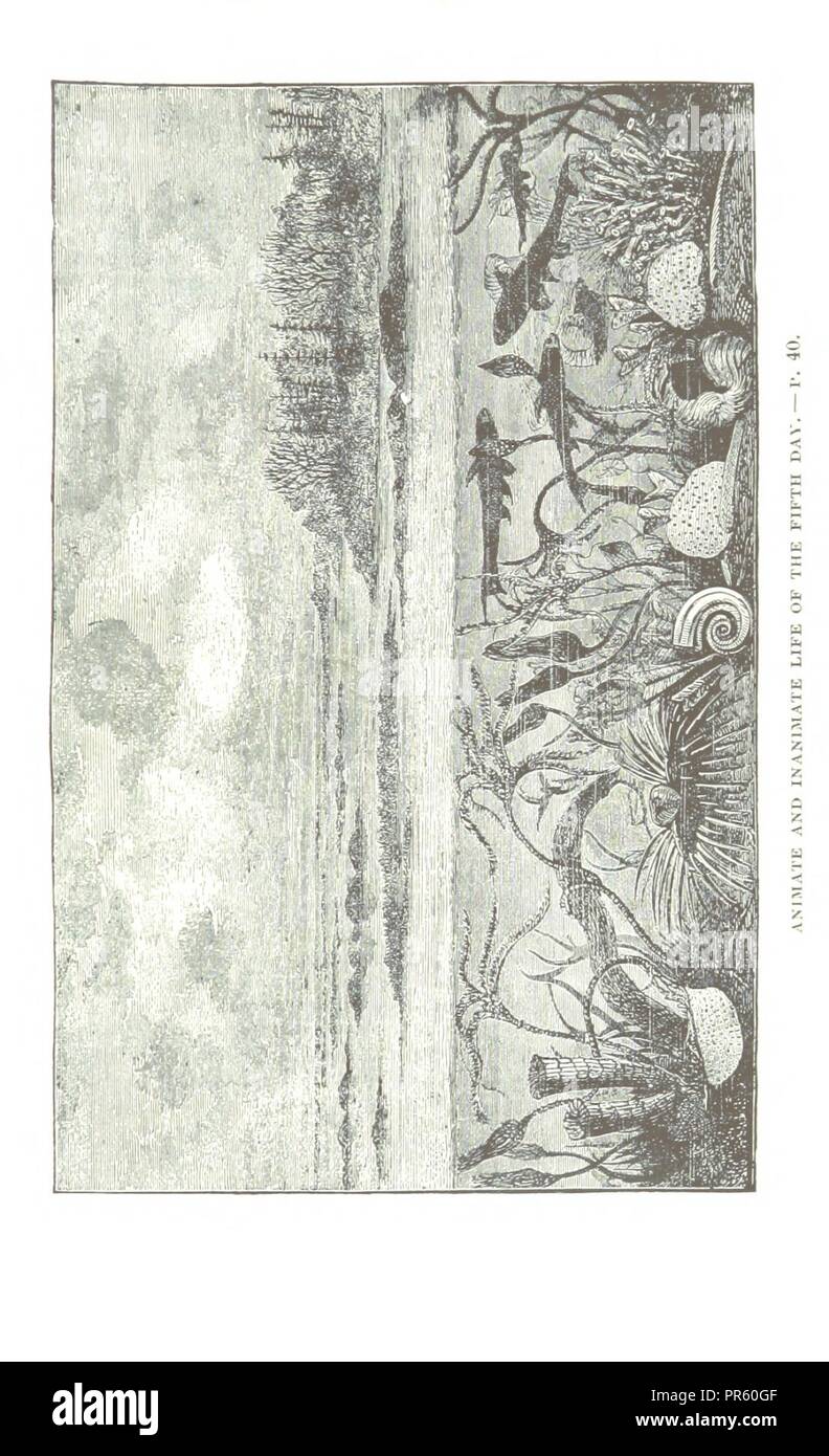 Arische rasse -Fotos und -Bildmaterial in hoher Auflösung – Alamy