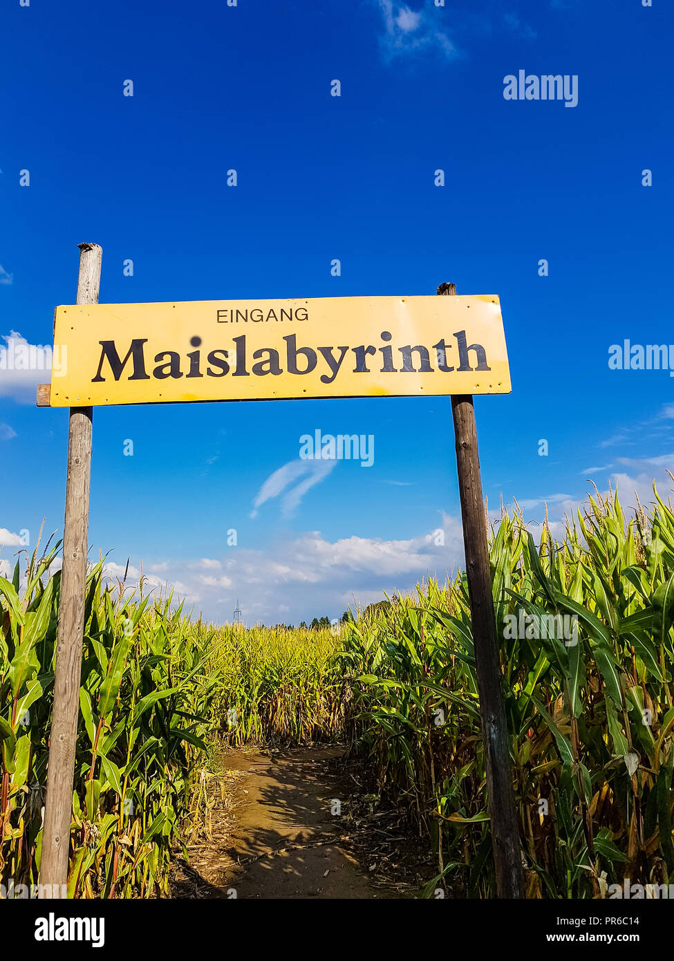 Corn Maze ist ein Labyrinth aus einem Maisfeld. Mais Labyrinthe sind ...