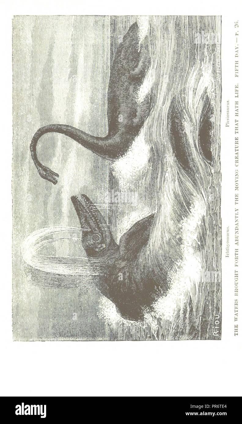 Arische rasse -Fotos und -Bildmaterial in hoher Auflösung – Alamy