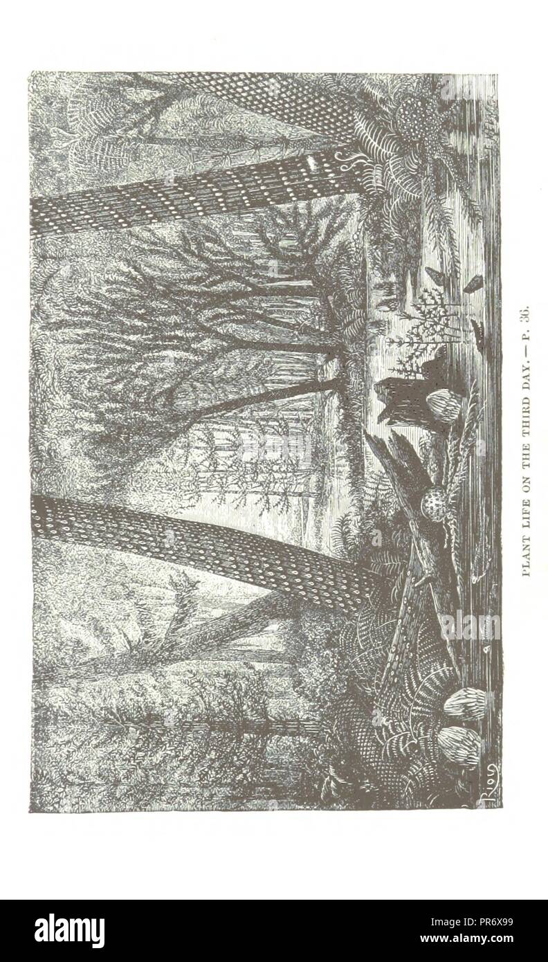 Arische Rasse Stockfotos und -bilder Kaufen - Alamy