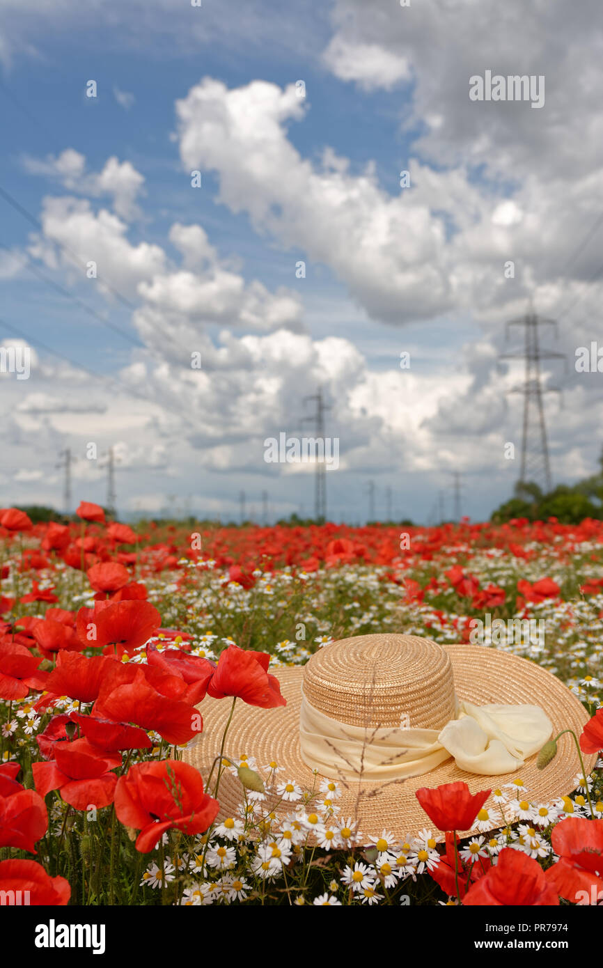 Großes Feld mit rotem Mohn und mit einer erstaunlichen bewölkten Himmel ...
