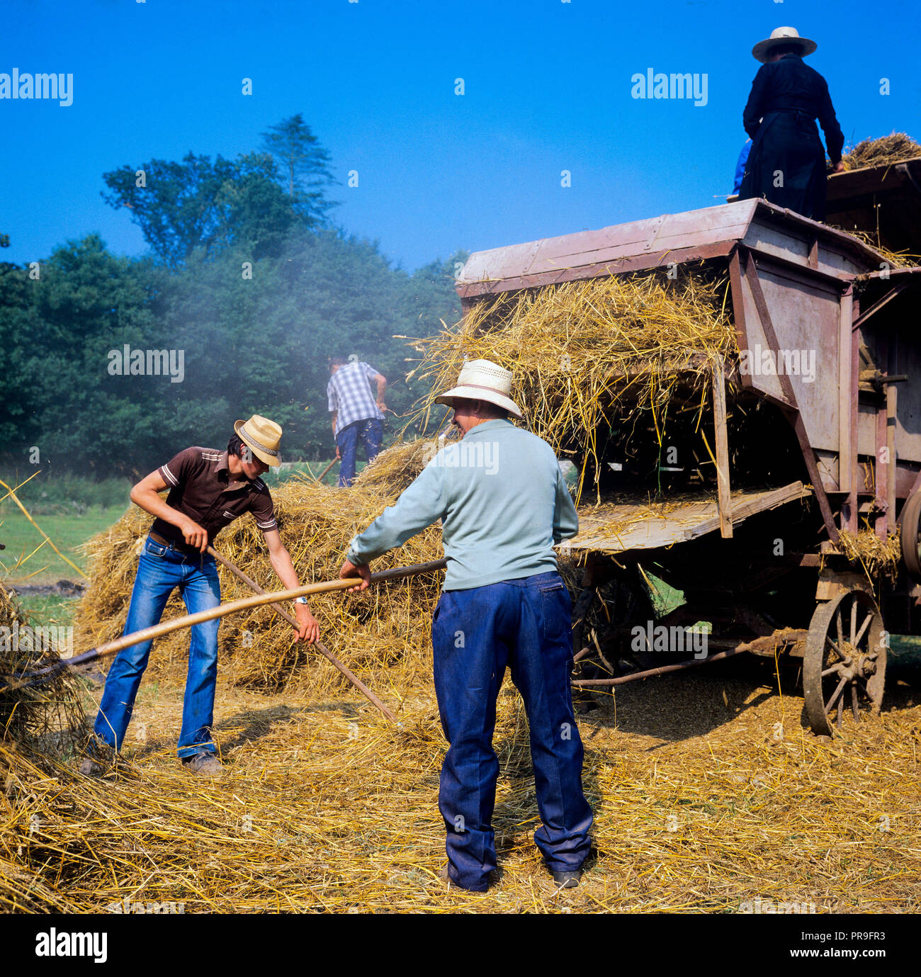 Weizen erntet -Fotos und -Bildmaterial in hoher Auflösung – Alamy