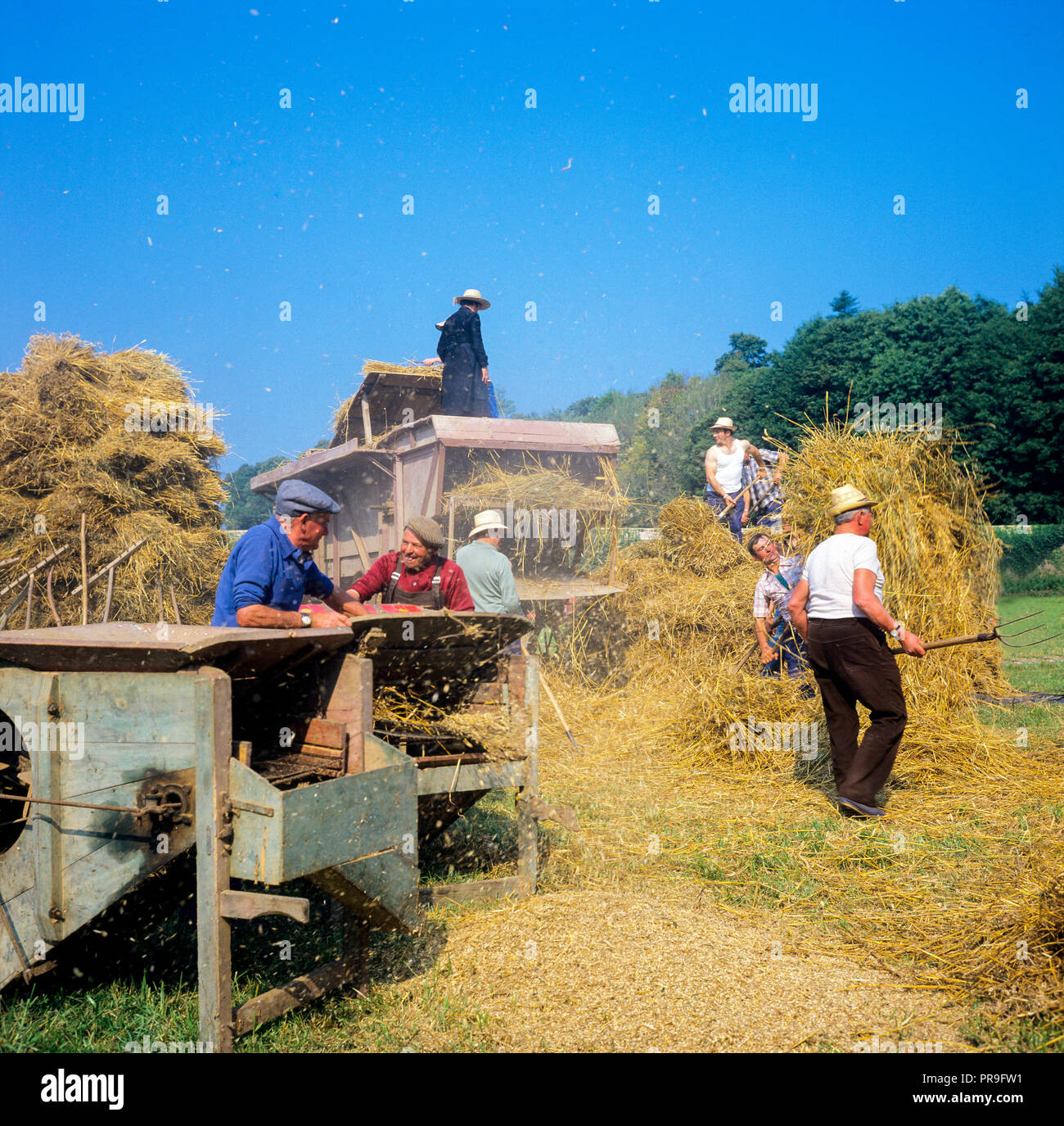 Weizen erntet -Fotos und -Bildmaterial in hoher Auflösung – Alamy