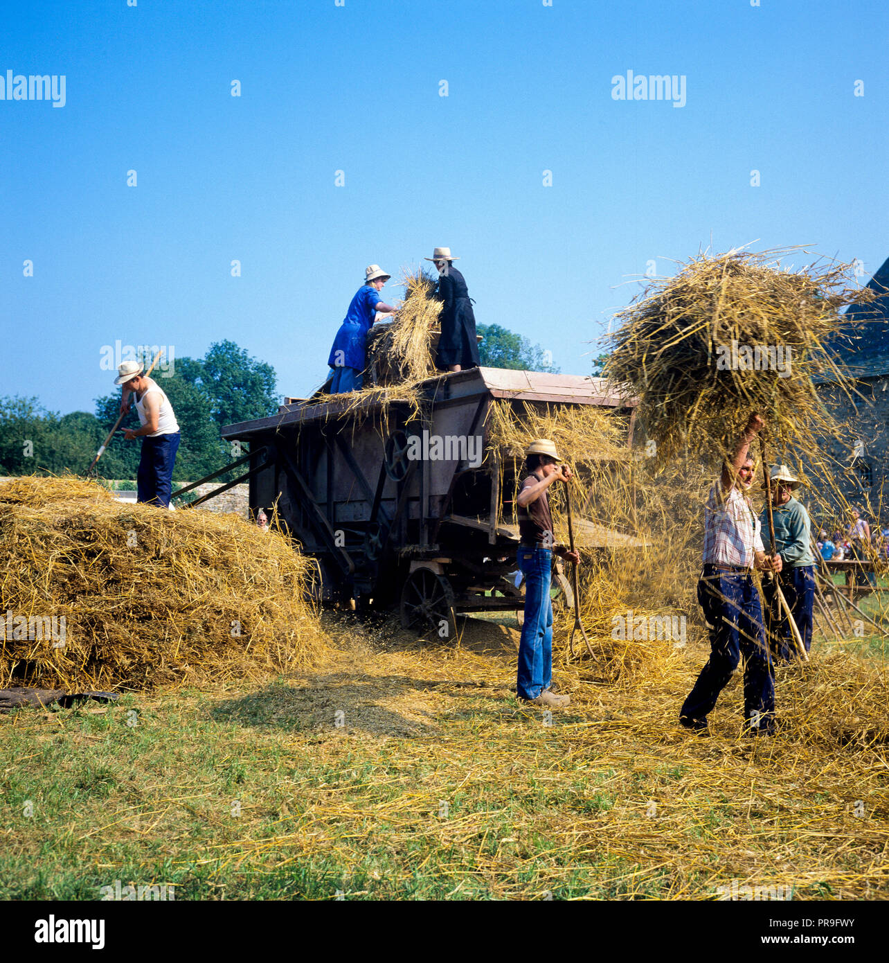 Weizen erntet -Fotos und -Bildmaterial in hoher Auflösung – Alamy