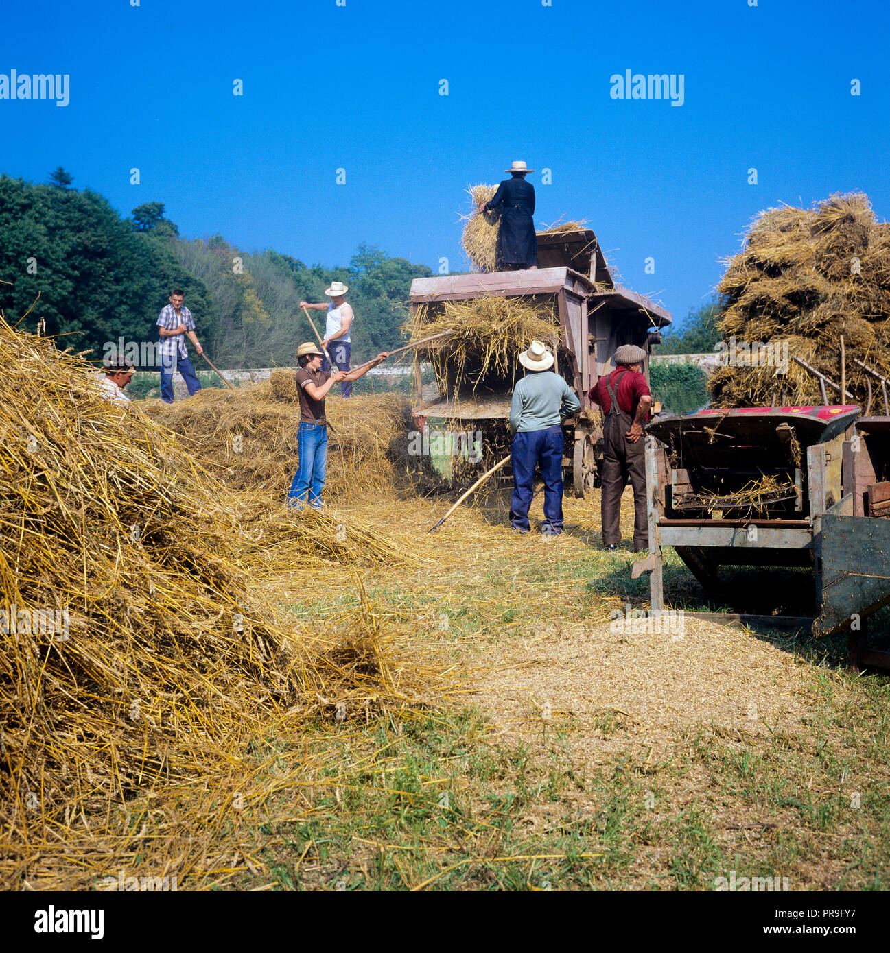 Weizen erntet -Fotos und -Bildmaterial in hoher Auflösung – Alamy