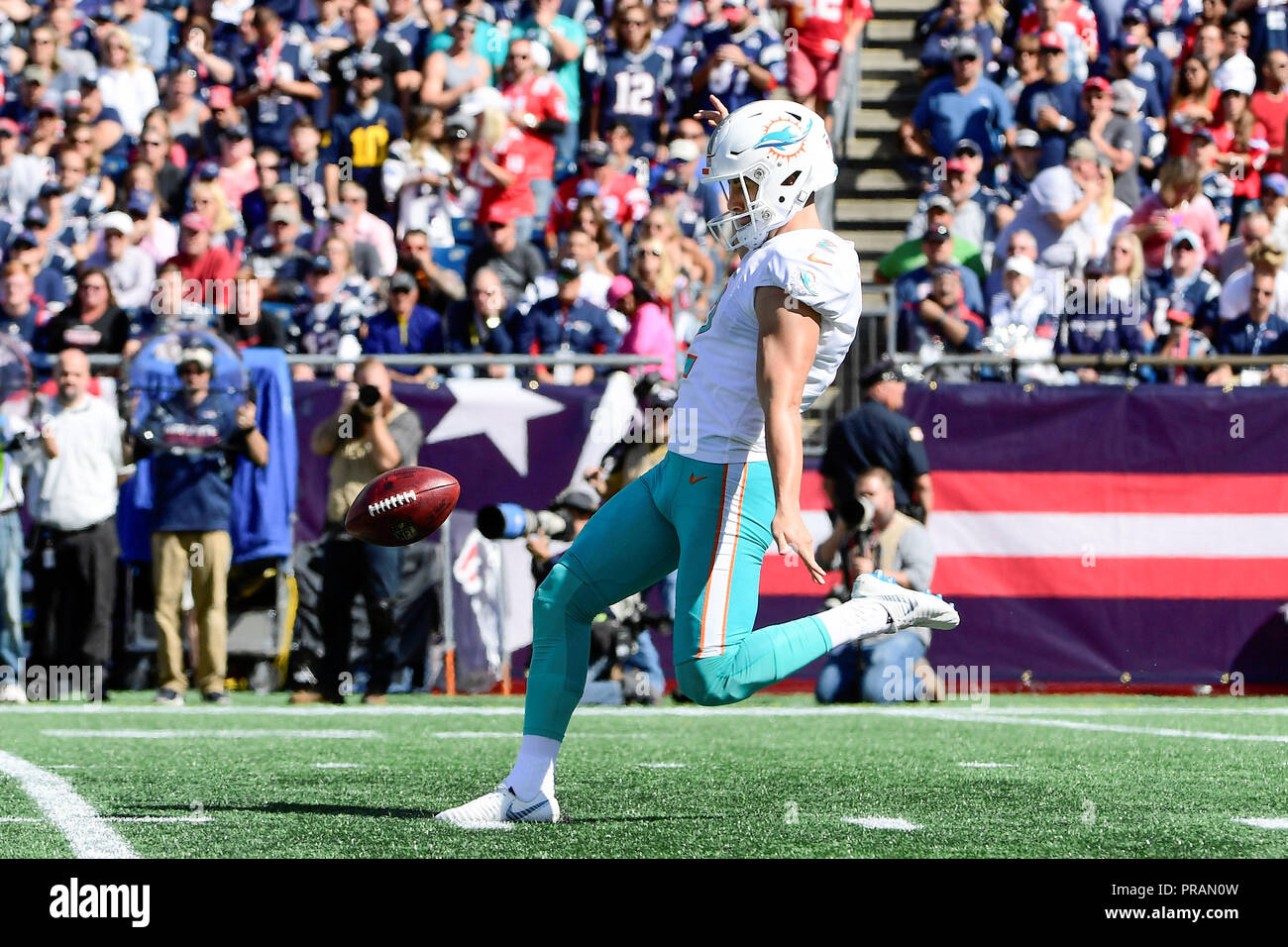 Matt hack -Fotos und -Bildmaterial in hoher Auflösung – Alamy