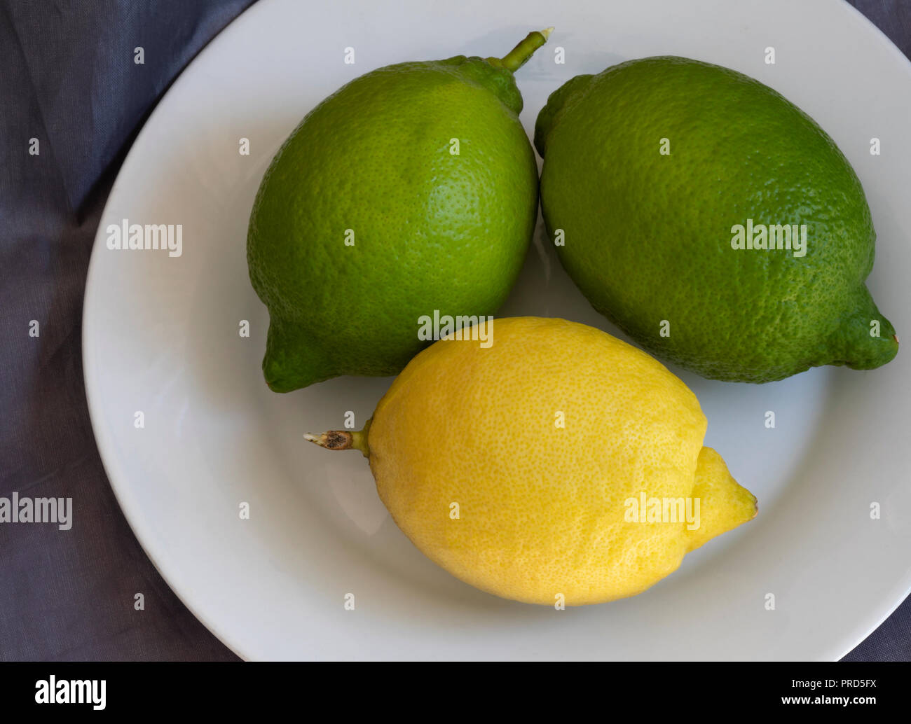 Stillleben mit zitronen auf dem teller -Fotos und -Bildmaterial in ...