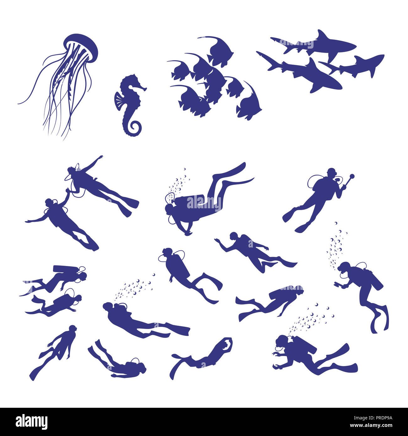 Sea animals -Fotos und -Bildmaterial in hoher Auflösung – Alamy