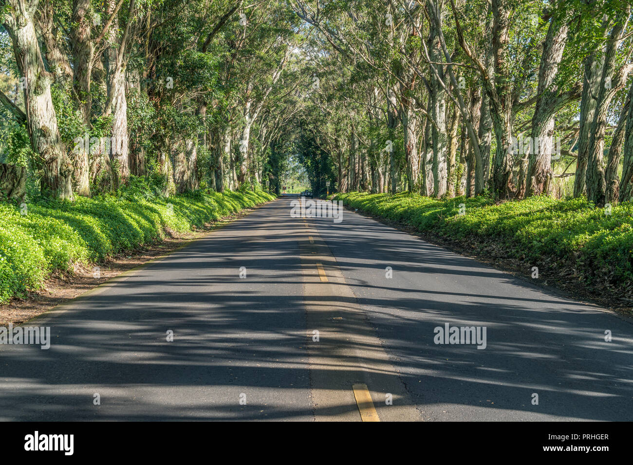 Maluhia road -Fotos und -Bildmaterial in hoher Auflösung – Alamy