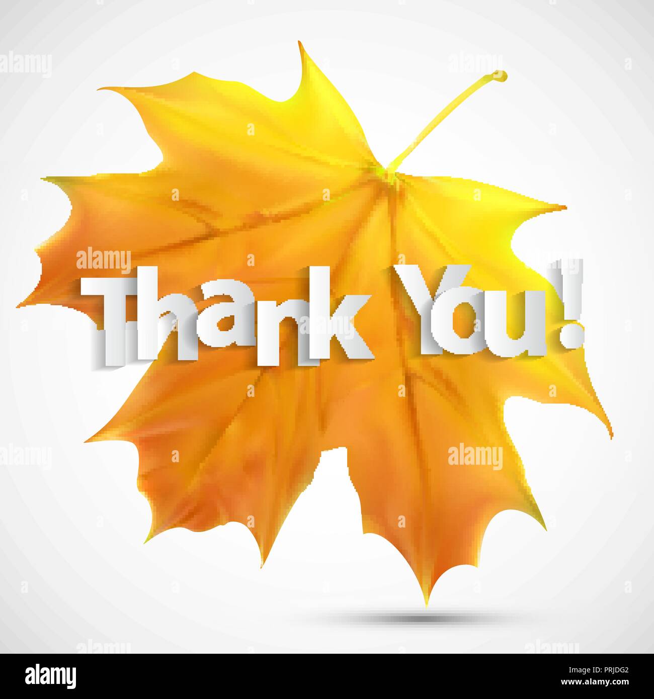 Papier Kunst von vielen Dank Schriftzug Hintergrund. Vector Illustration Stock-Vektorgrafik - Alamy