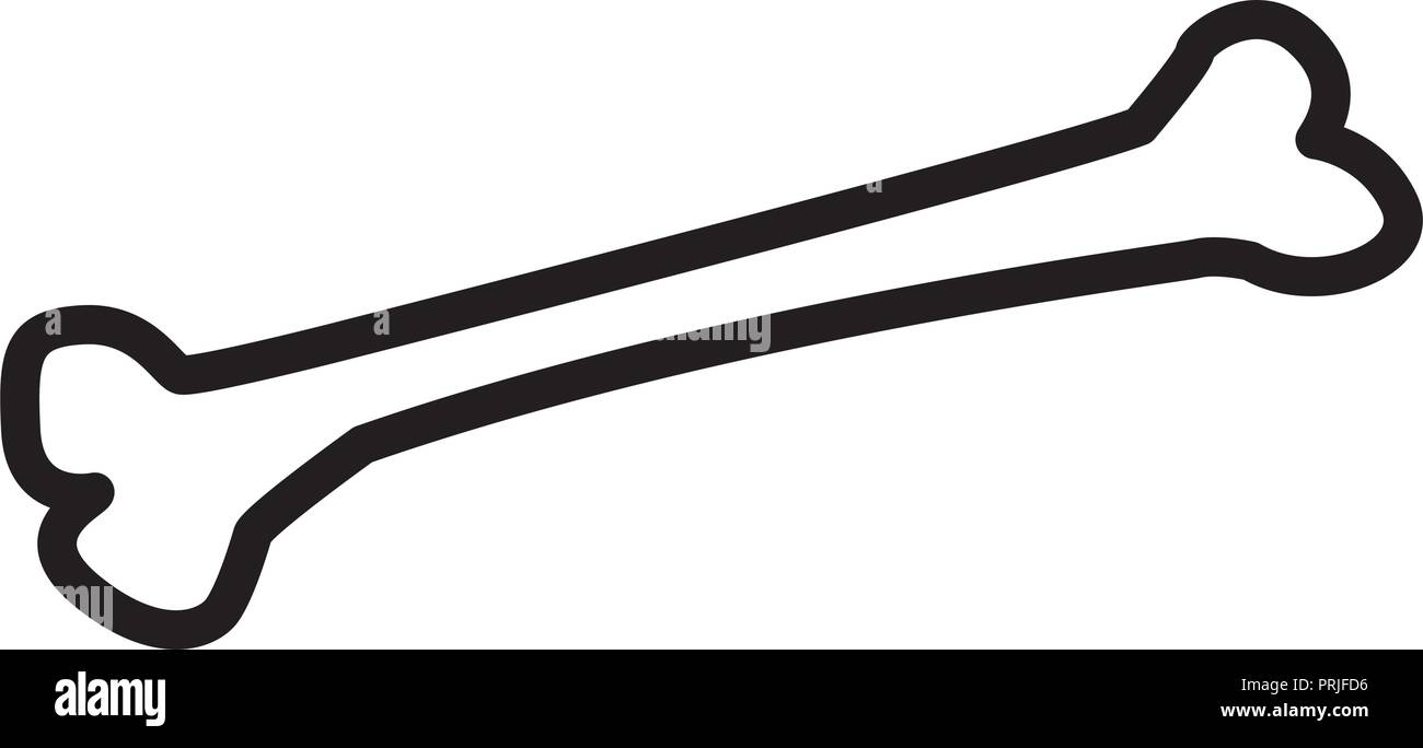 Human Bone Stockfotos und -bilder Kaufen - Alamy