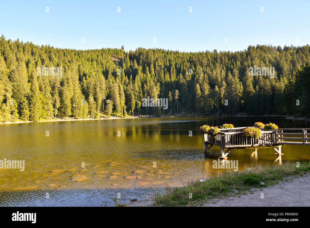 Mummelsee im Schwarzwald Deutschland Stockfotografie - Alamy