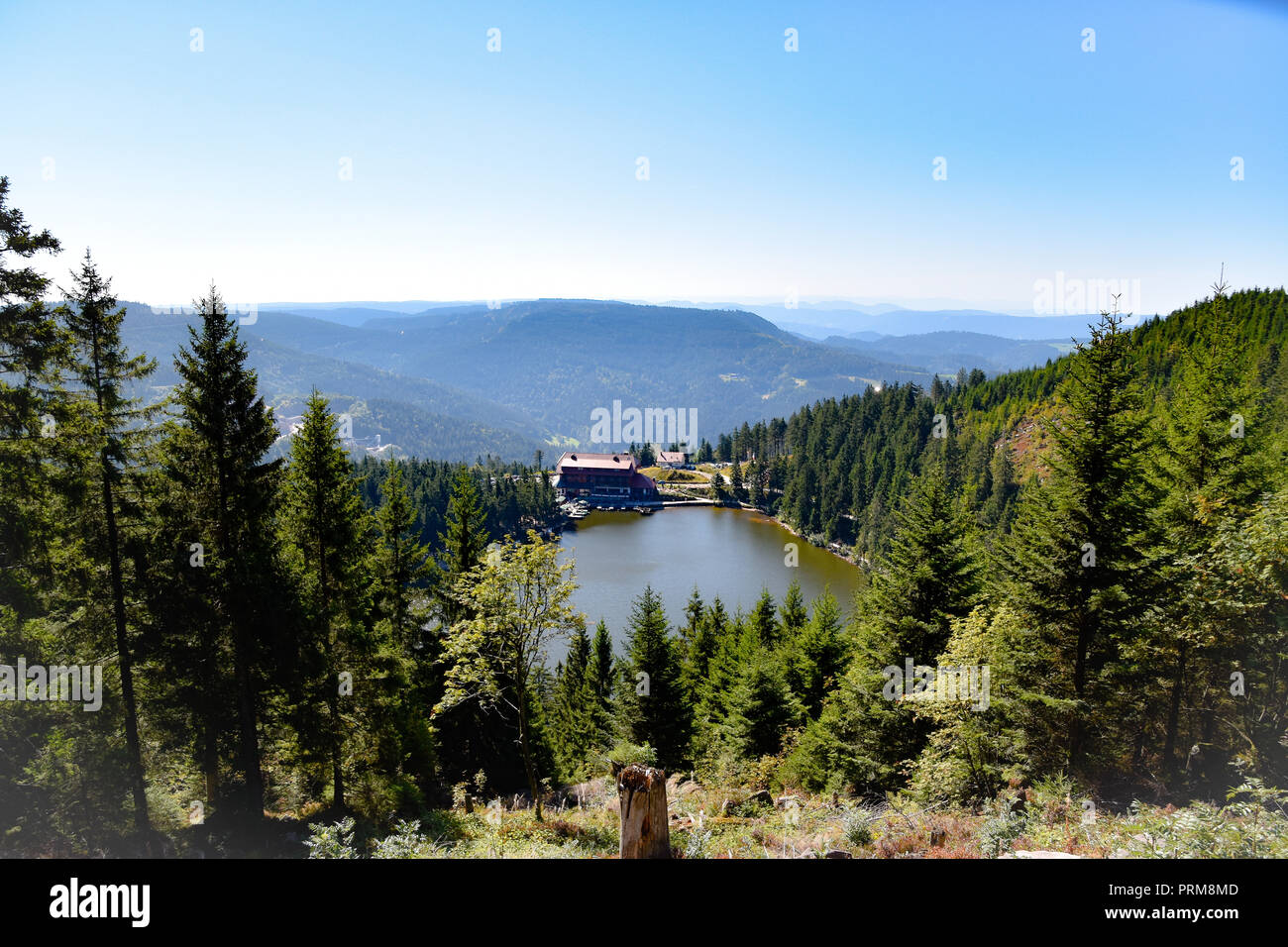 Mummelsee im Schwarzwald Deutschland Stockfotografie - Alamy