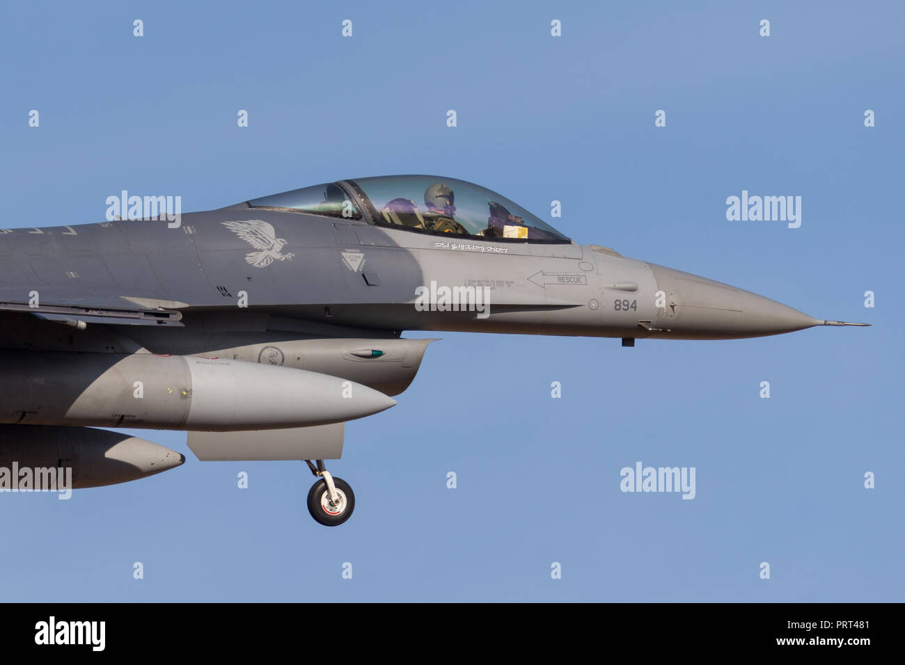 United Staes Air Force (USAF) Lockheed F-16CJ Fighting Falcon 92-3894 aus dem 14 Fighter ...