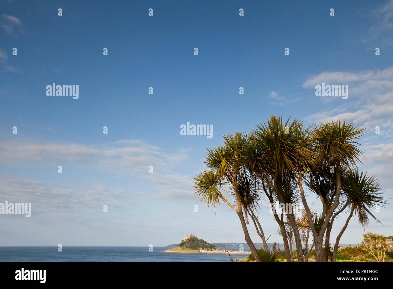 Palmen uk -Fotos und -Bildmaterial in hoher Auflösung – Alamy