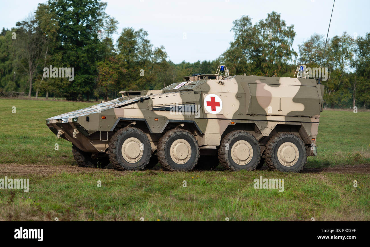 Gtk boxer -Fotos und -Bildmaterial in hoher Auflösung – Alamy