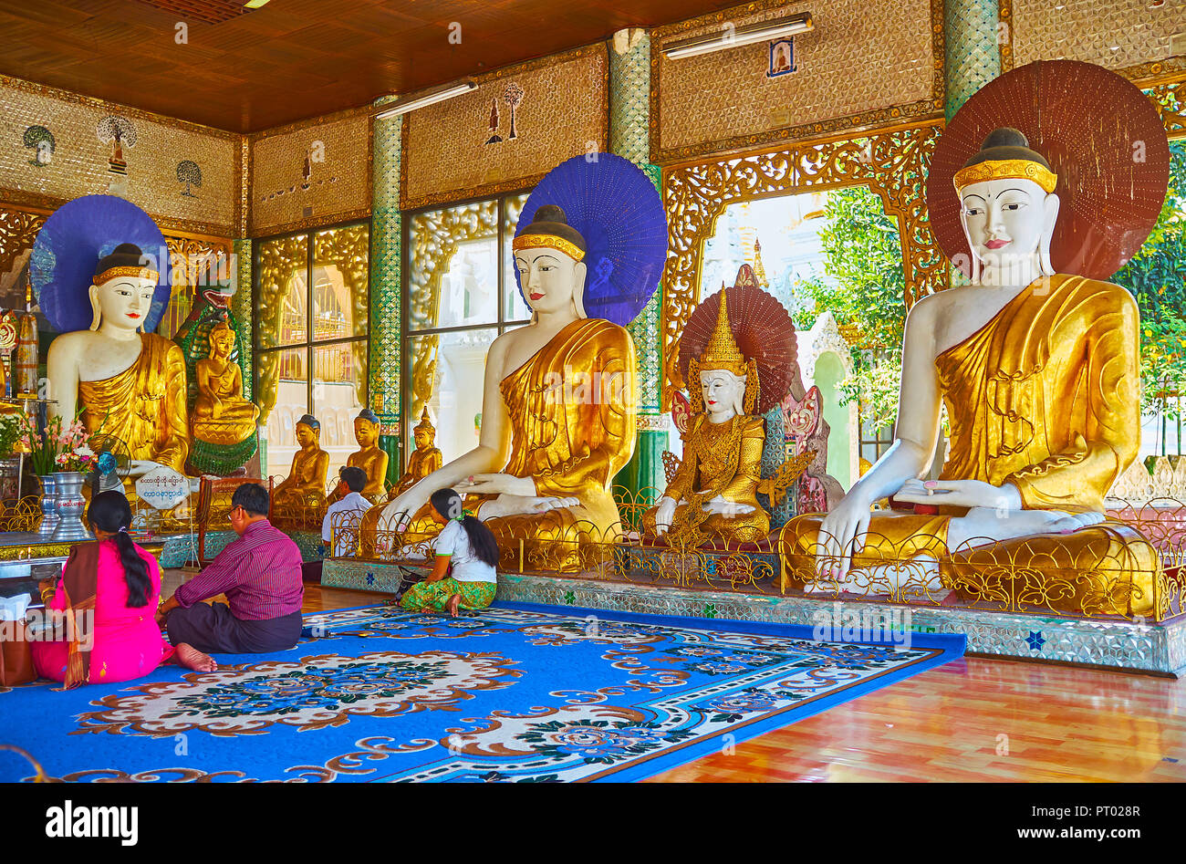 Shin ma tige -Fotos und -Bildmaterial in hoher Auflösung – Alamy