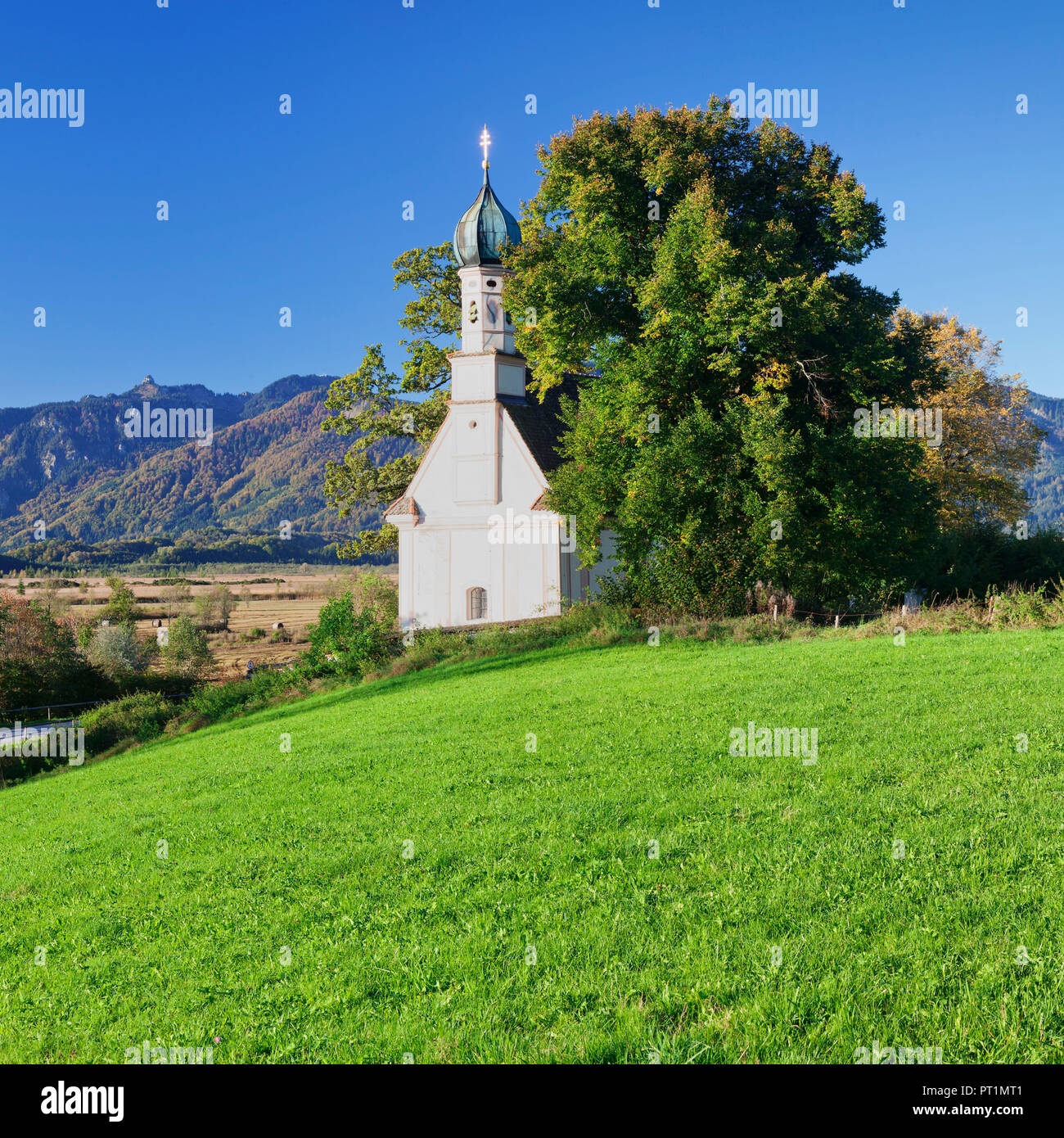 Ramsachkircherl am Murnauer Moos, Staffelsee, Murnau am Staffelsee ...