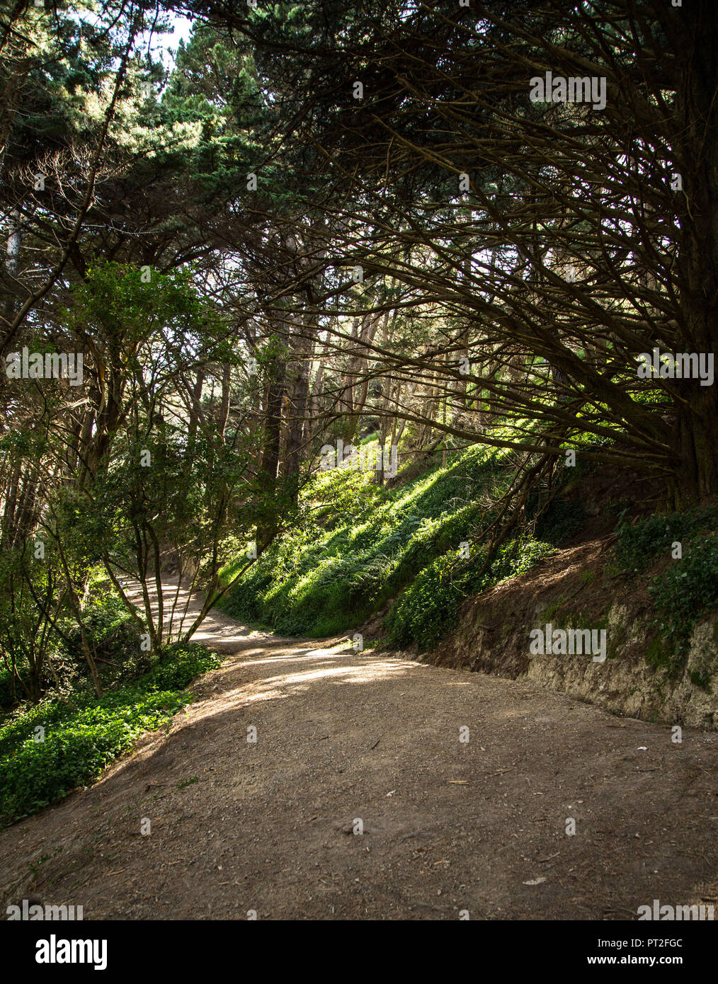 Kaitoke regional park -Fotos und -Bildmaterial in hoher Auflösung – Alamy