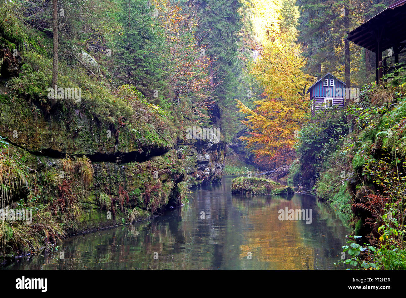 Edmund schlucht kamnitz schlucht im tal von kamnitz -Fotos und ...