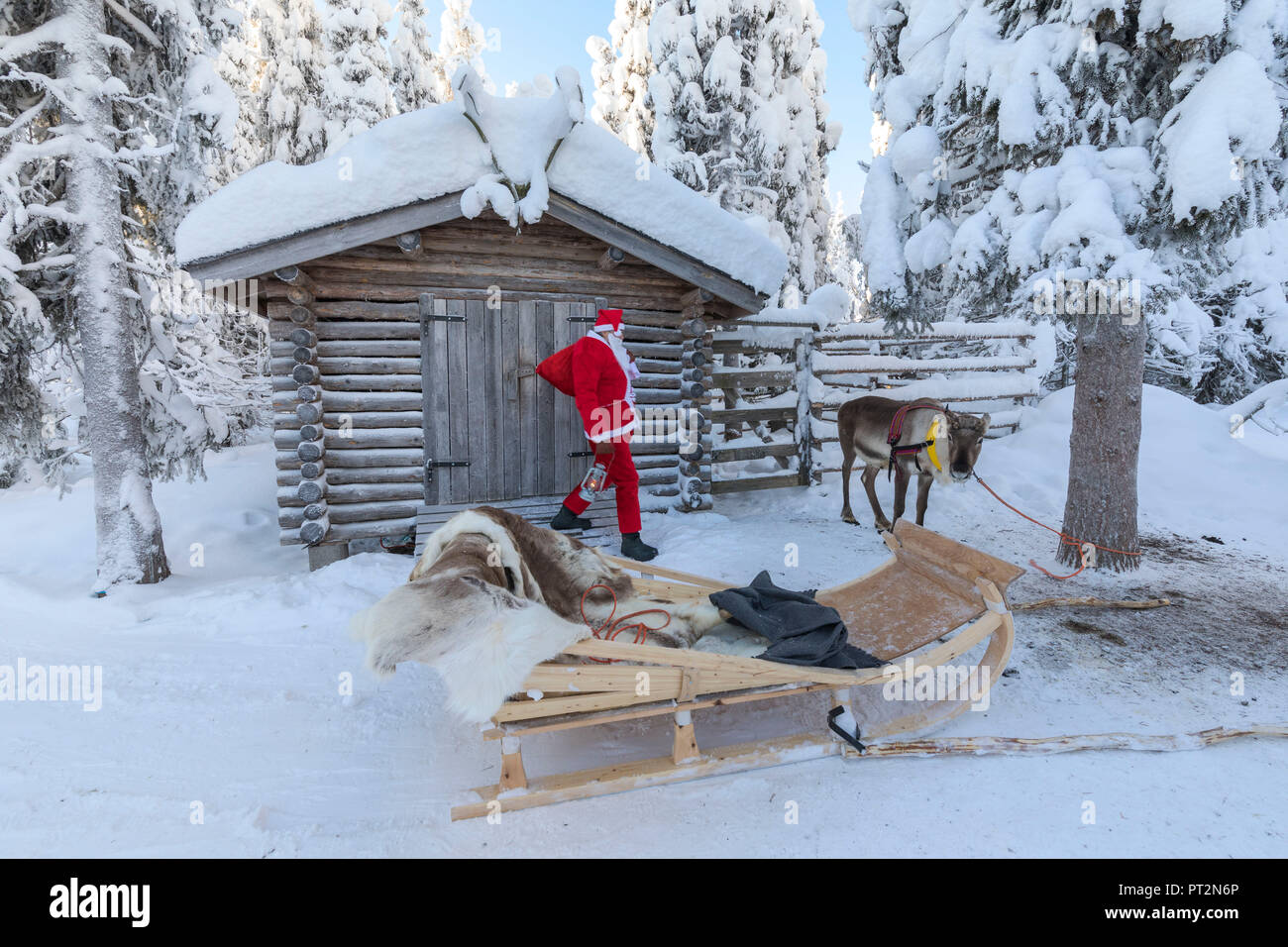 Santa Claus und Schlitten, Ruka (Kuusamo), Norra Österbotten Region Lappland, Finnland ...