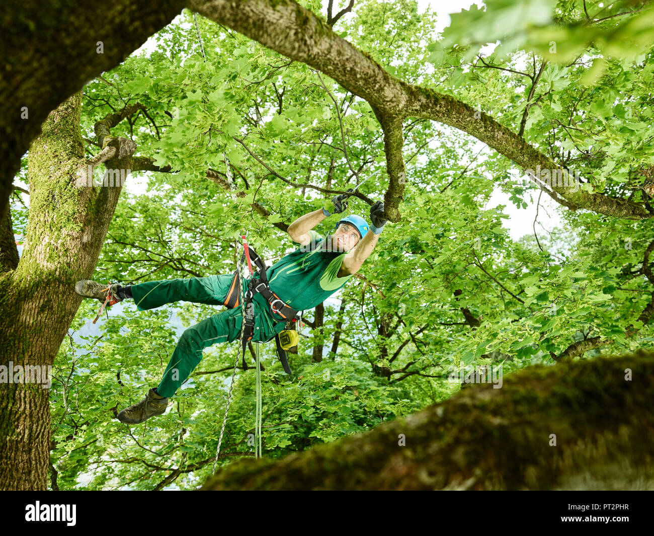 Anstrengende arbeit -Fotos und -Bildmaterial in hoher Auflösung – Alamy